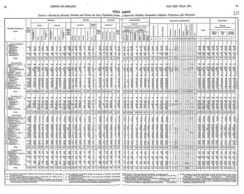 offaly ireland population